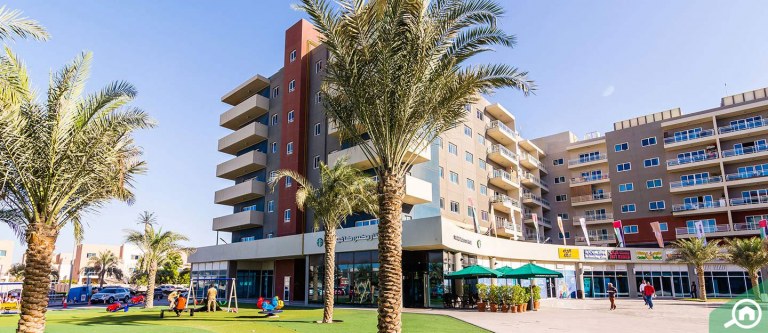 Al Reef Area Guide | Bayut