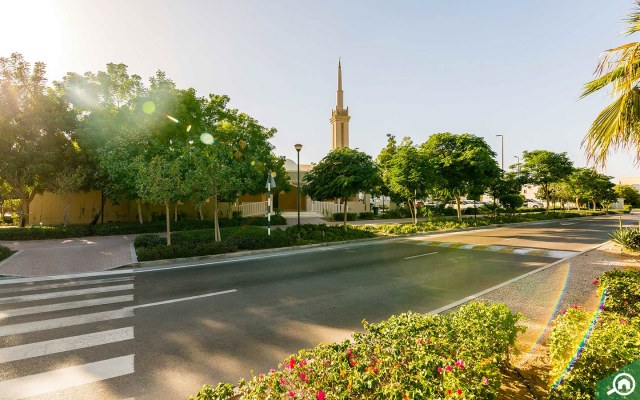 Al Reef Area Guide | Bayut