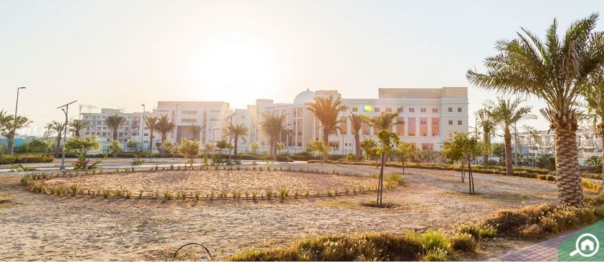 Jumeirah Village Circle (JVC) – Area & Community Guide » Bayut™