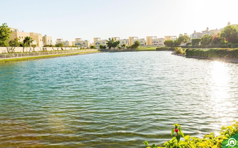 Springs Dubai | Complete Community Guide | Bayut
