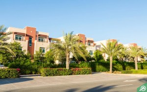 Alghadeer – Area, Neighbourhood & Lifestyle Guide » Bayut™