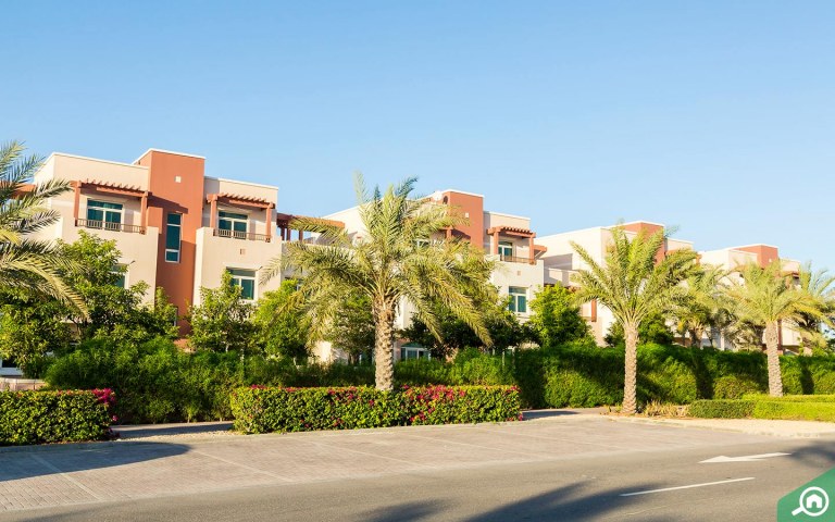 Alghadeer – Area, Neighbourhood & Lifestyle Guide » Bayut™