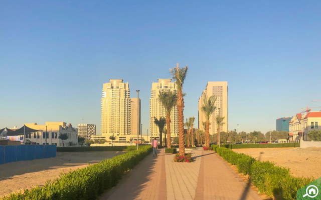 Liwan Area Guide | Bayut