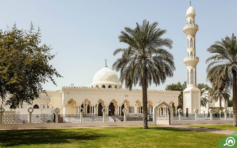 Al Bateen Area Guide | Bayut