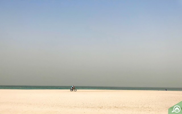 Umm Al Sheif Area Guide | Bayut