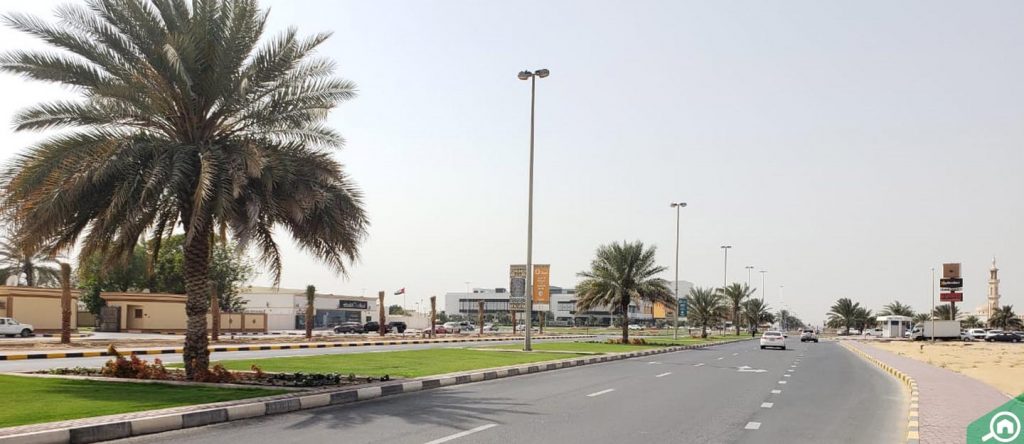 Muwaileh Sharjah – Area, Neighbourhood & Lifestyle Guide » Bayut™