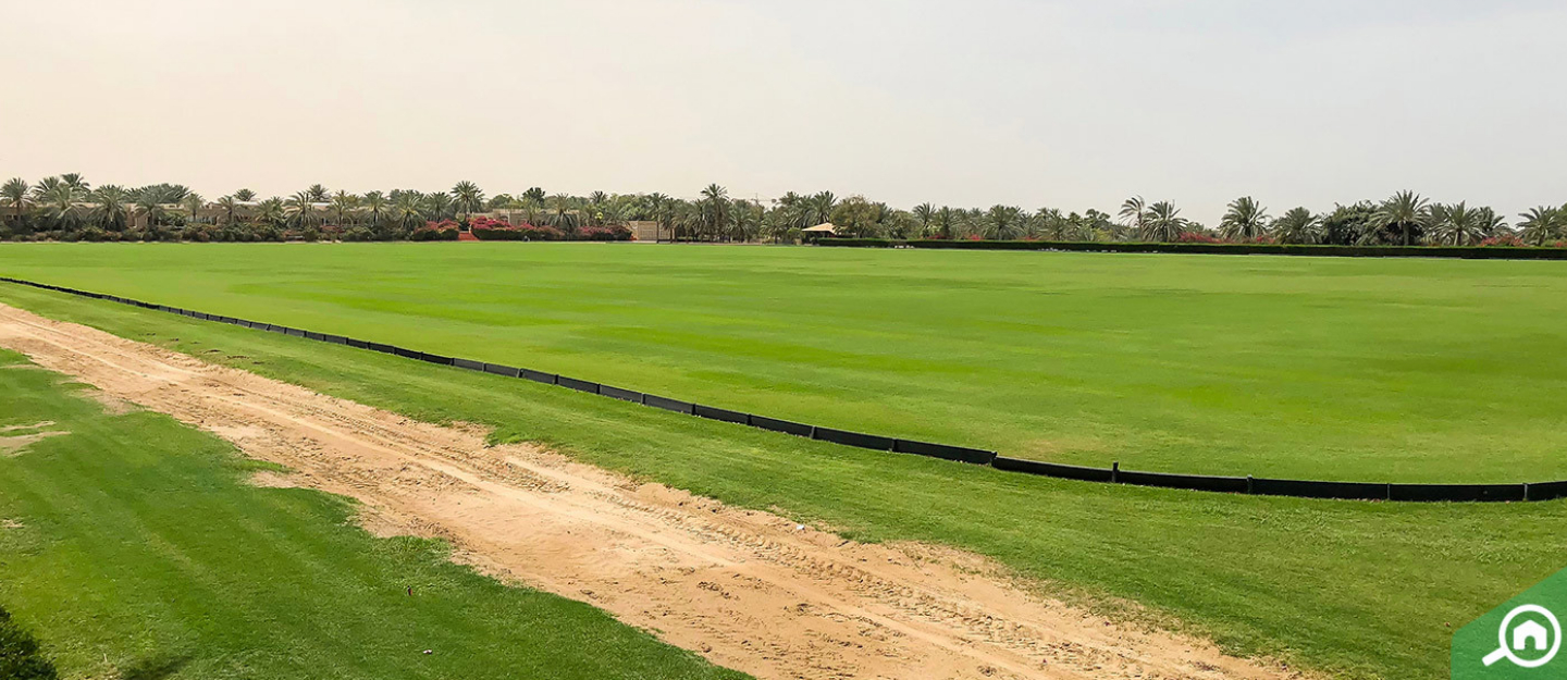 Al Warsan Area Guide - Bayut