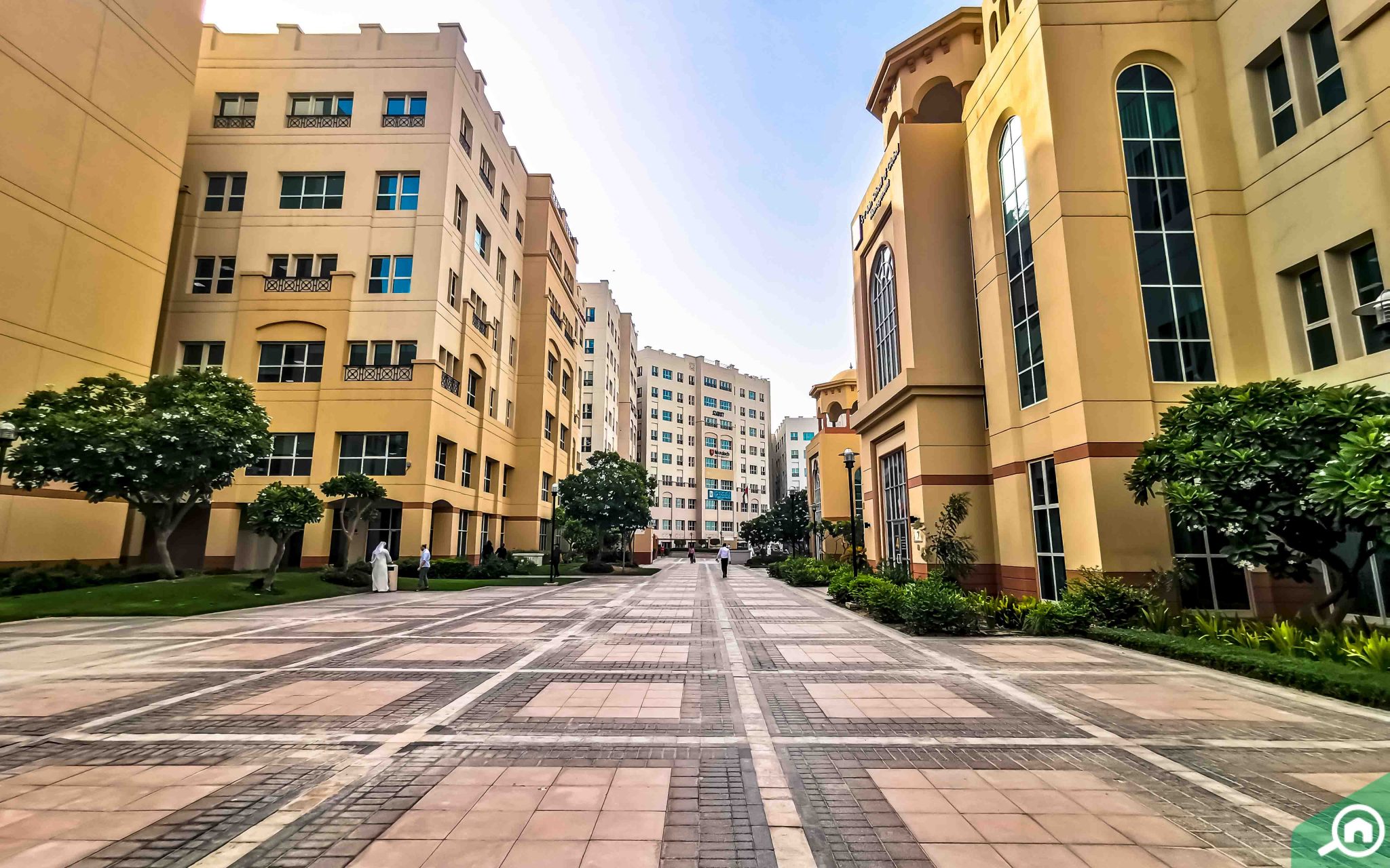 Academic City – Area, Community & Lifestyle Guide » Bayut™