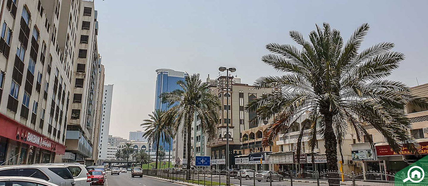 Al Mareija Area Guide | Bayut
