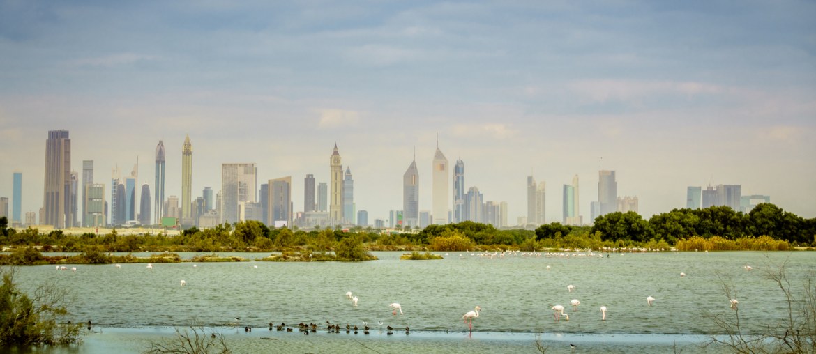 Ras Al Khor – Area, Neighbourhood & Lifestyle Guide » Bayut™