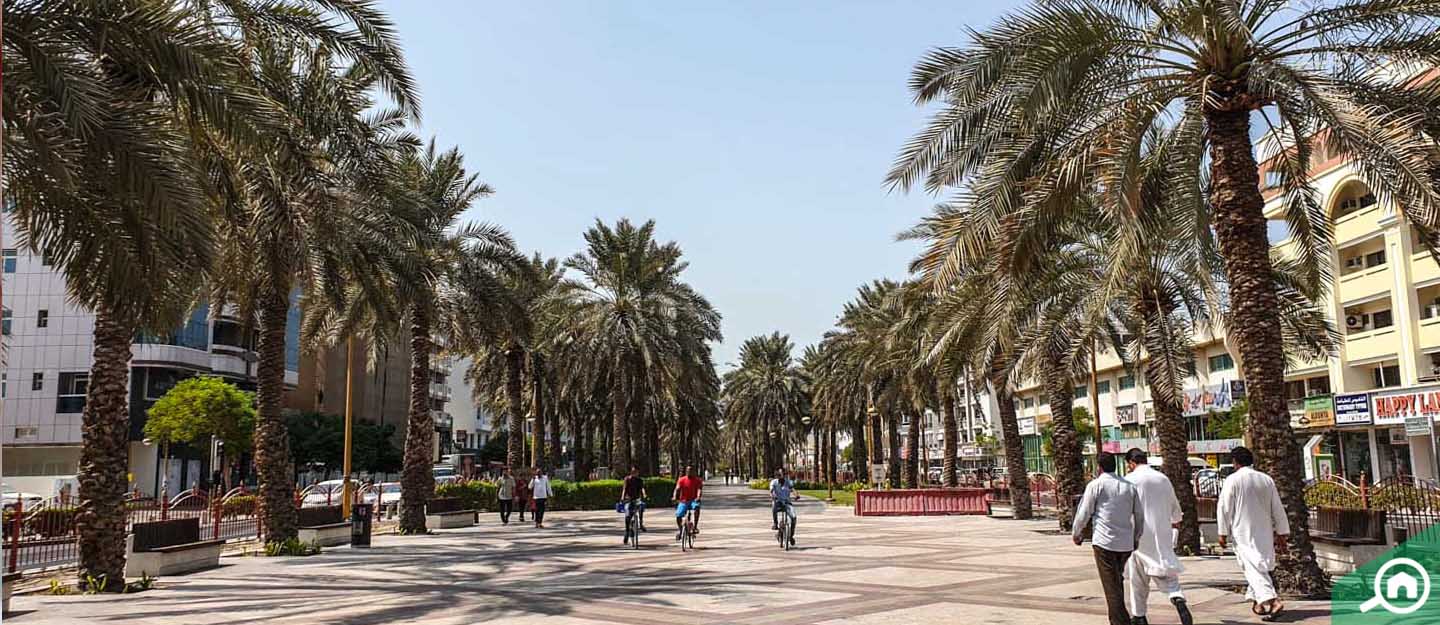 Abu Hail – Area, Neighbourhood & Lifestyle Guide » Bayut™