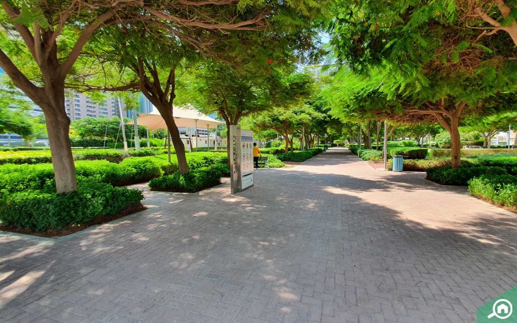 Dar Wasl Area Guide | Bayut