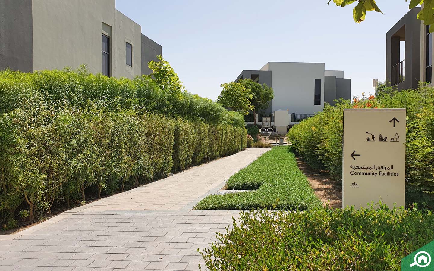Sidra Villas, Dubai Hills Estate Area Guide | Bayut
