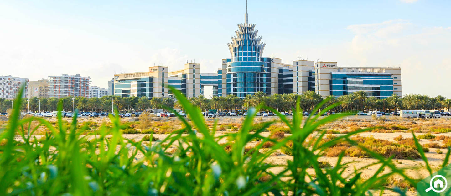 Semmer Villas, Dubai Silicon Oasis Area Guide | Bayut