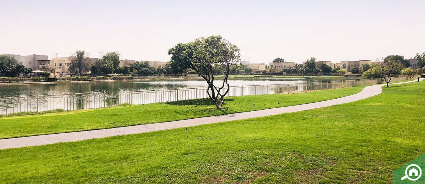 Springs 4 Area Guide | Bayut