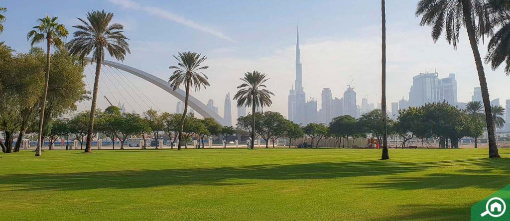 Al Safa 2 Area Guide | Bayut