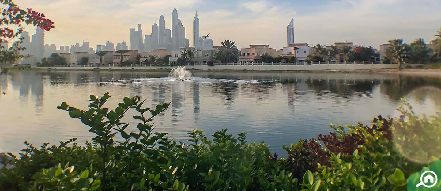 Deema, The Lakes Area Guide | Bayut