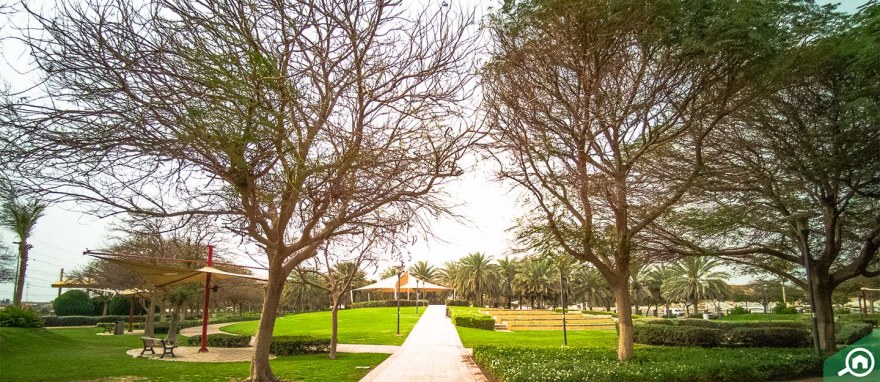 Muhaisnah 1 Area Guide | Bayut