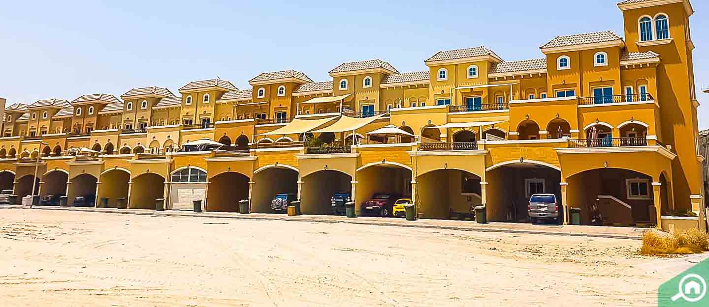 Ghaf Tree – Area, Neighbourhood & Lifestyle Guide » Bayut™