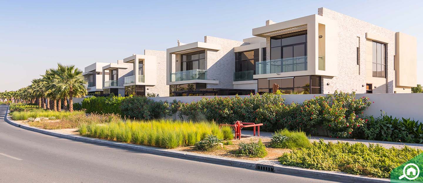 Phoenix, Damac Hills Area Guide | Bayut