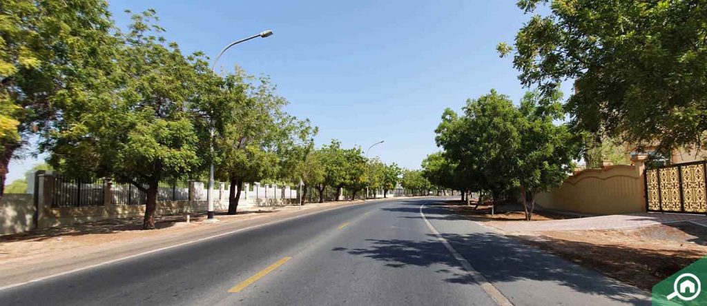 Al Twar Area Guide | Bayut