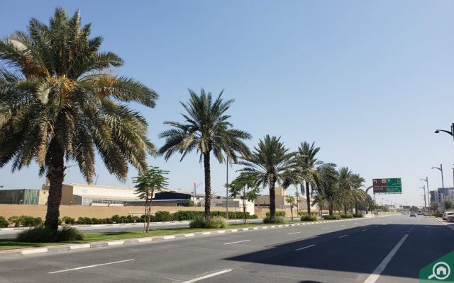 Al Mina, Dubai Area Guide | Bayut