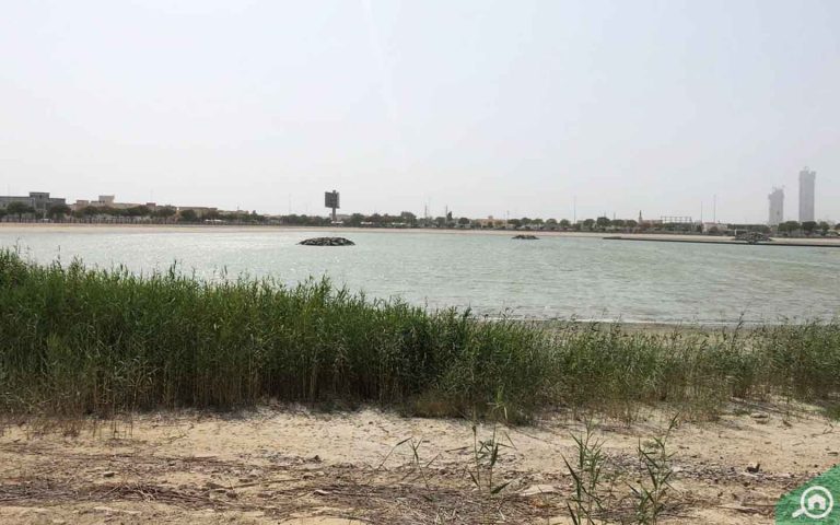 Al Quoz 3 Area Guide | Bayut