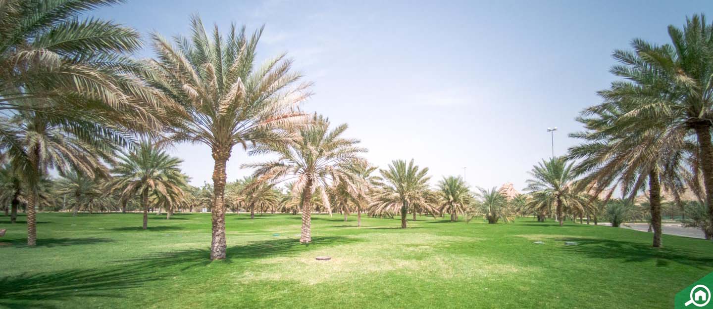 Al Sarouj Area Guide | Bayut