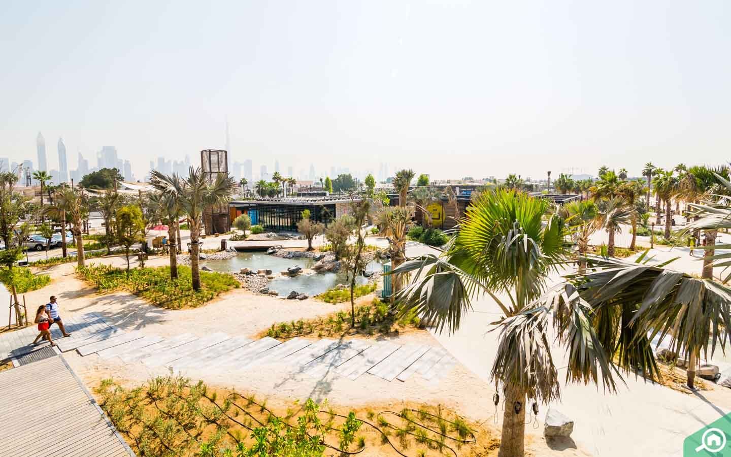 Port De La Mer Area Guide | Bayut