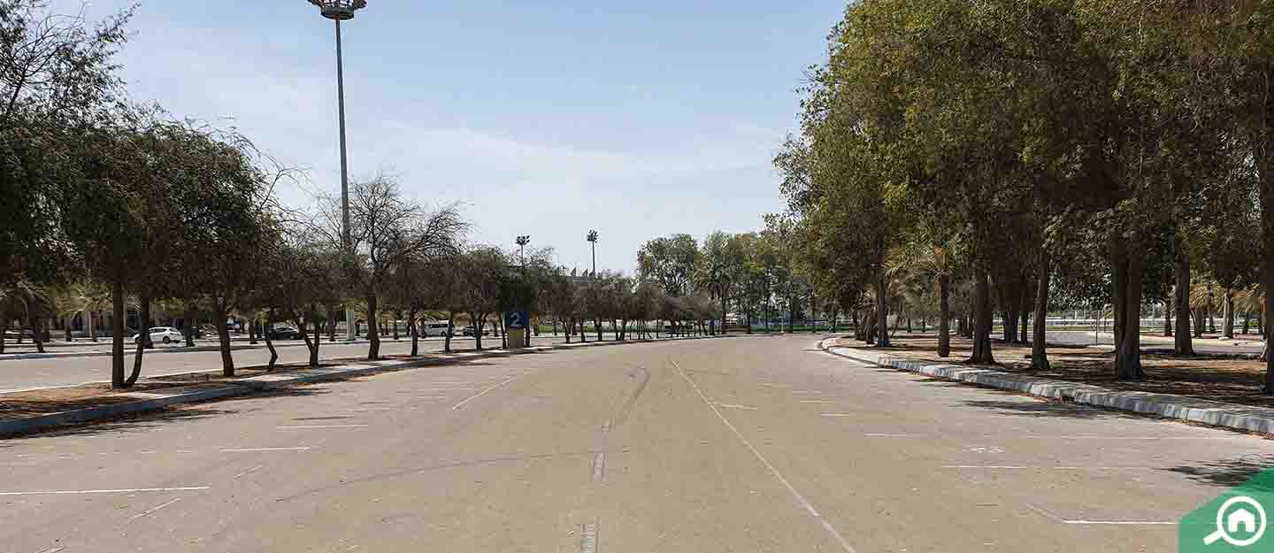 Al Markaz Area Guide | Bayut