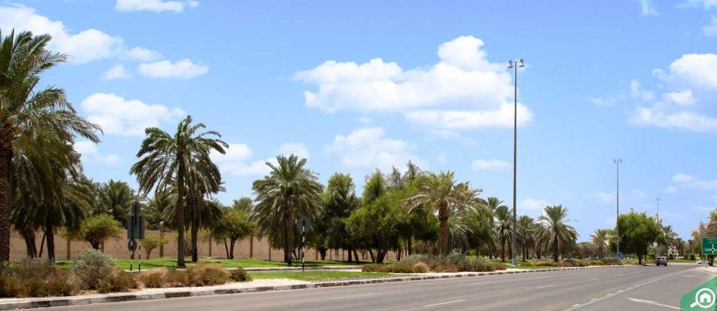 Al Nahil, Al Ain Area Guide | Bayut