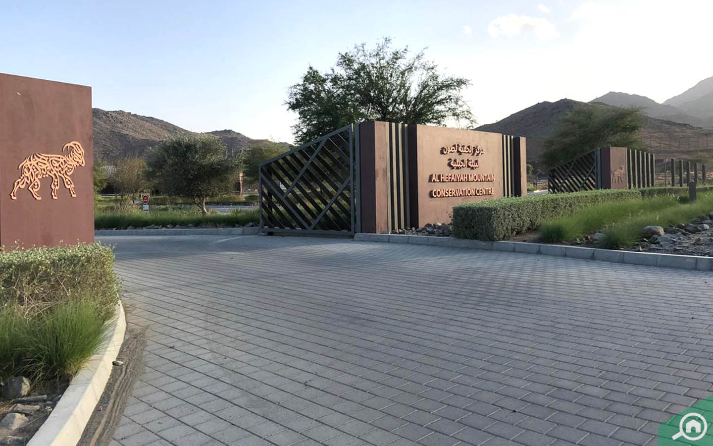 Kalba, Sharjah Area Guide | Bayut