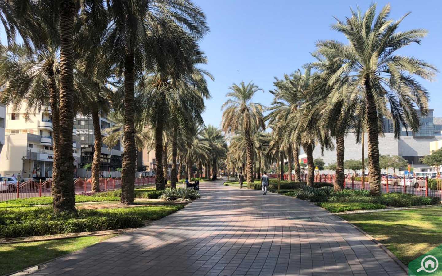 Naif, Deira Area Guide | Bayut