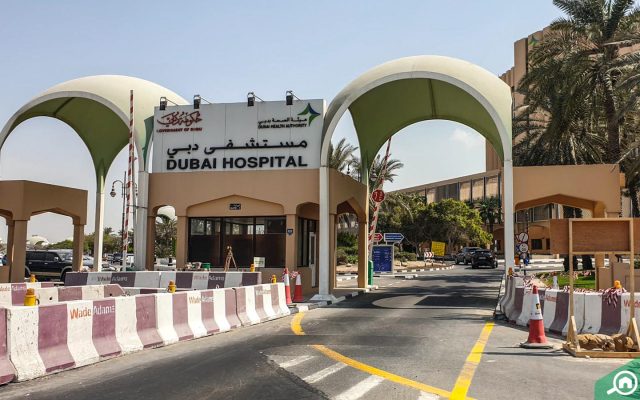 Naif, Deira Area Guide | Bayut