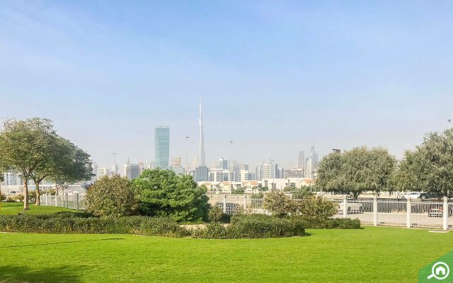 Al Quoz 4 Area Guide | Bayut