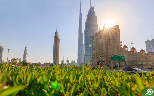 DIFC Area Guide | Bayut