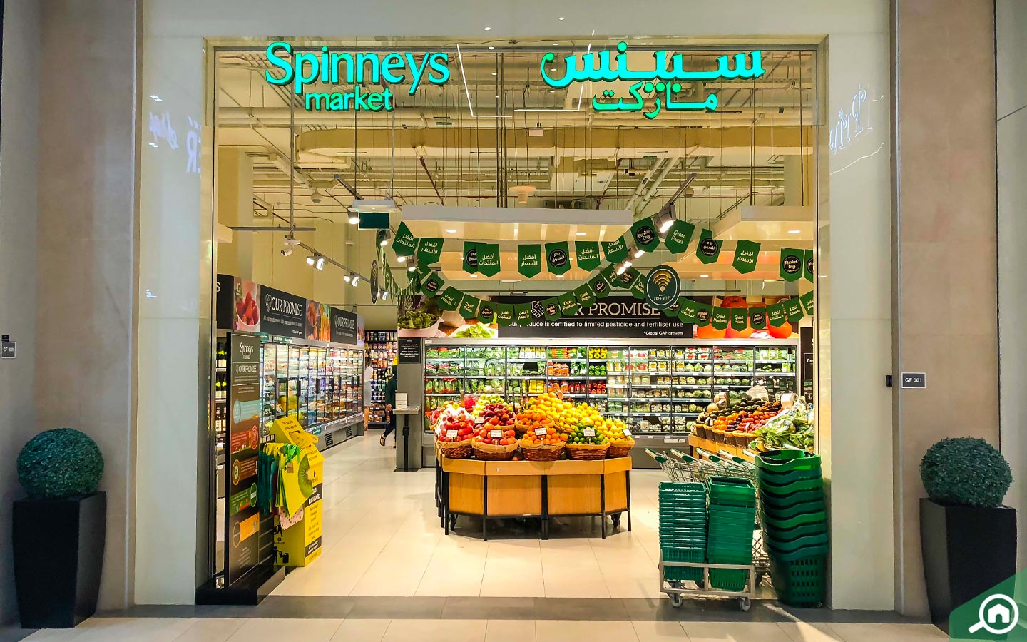 Mira 4, Reem Area Guide | Bayut