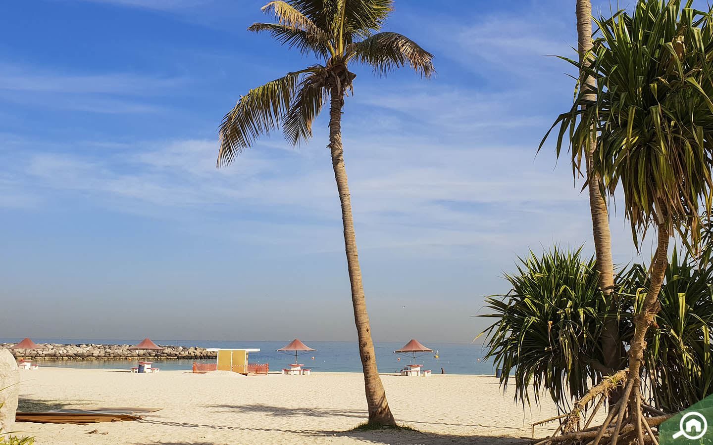 Al Mamzar Dubai Area Guide | Bayut