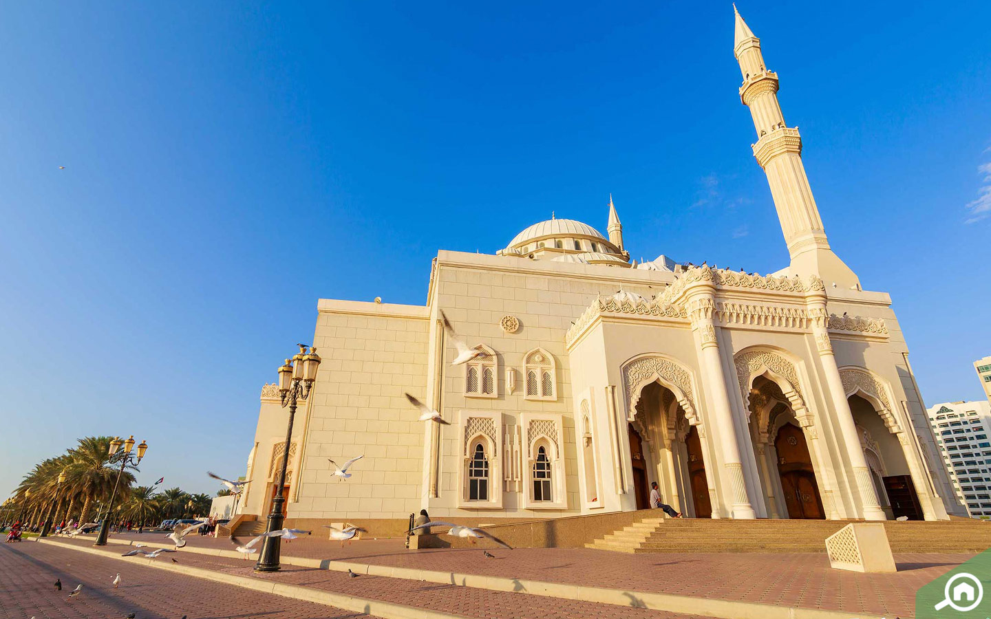 Al Khan Sharjah Area Guide | Bayut