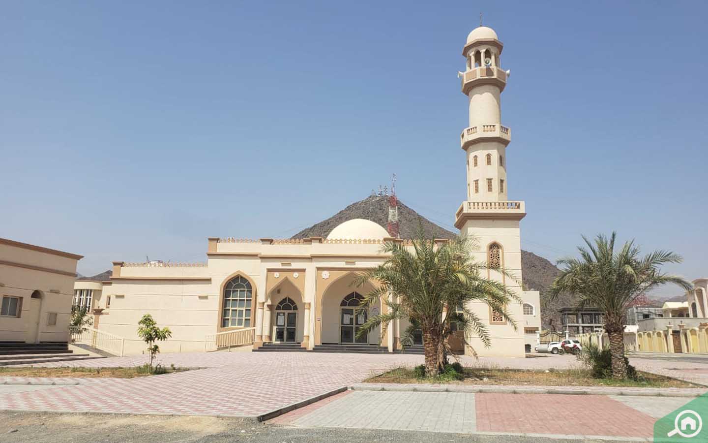 Mirbah, Fujairah Area Guide | Bayut