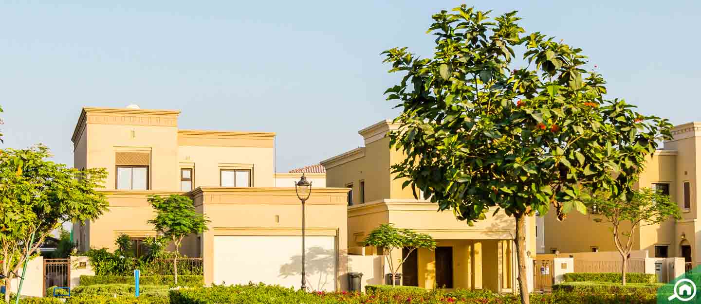 Deema 3 Area Guide | Bayut