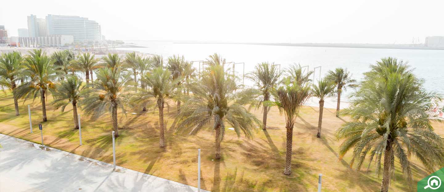 دليل منطقة ليا جزيرة ياس | بيوت