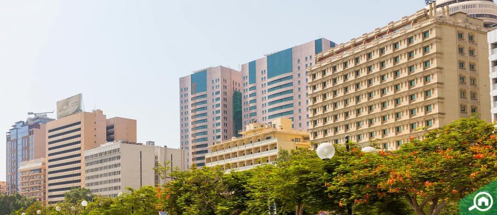 Al Hamriya Area Guide | Bayut