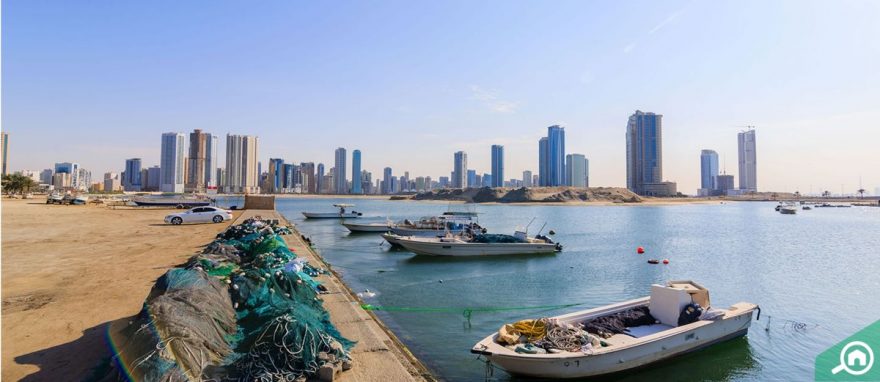 Al Hamriyah, Sharjah Area Guide | Bayut