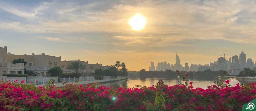 Hattan 3, The Lakes Area Guide | Bayut