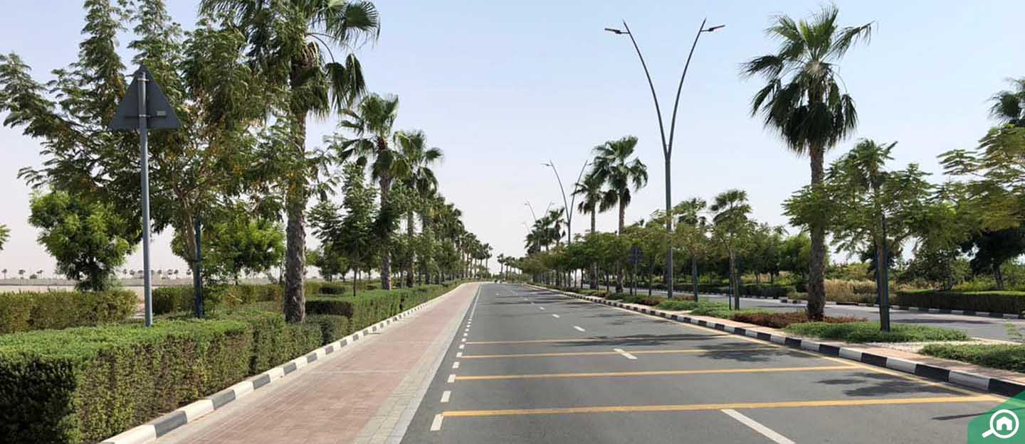 Al Meera Complex Area Guide | Bayut