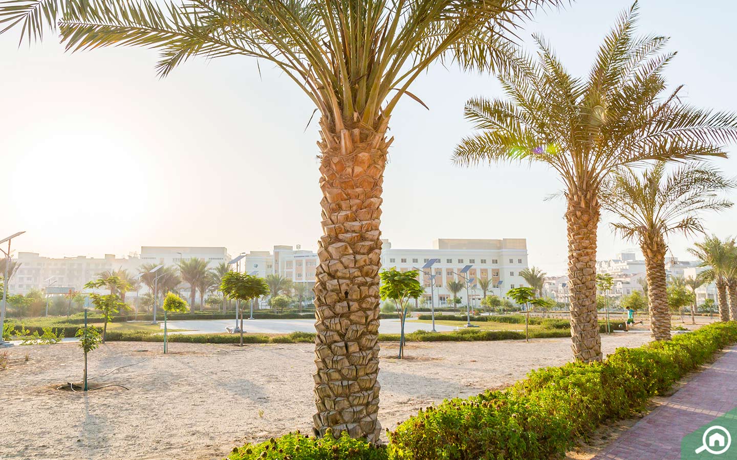 Indigo Ville 4 Area Guide | Bayut