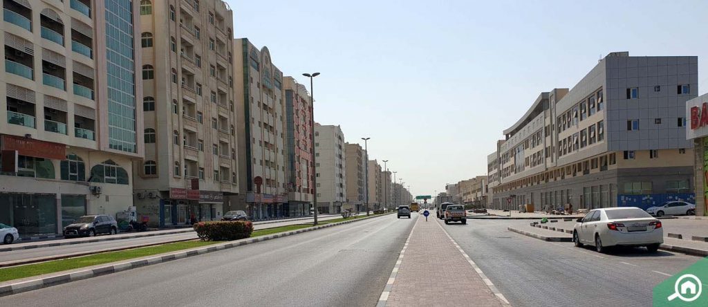 Zayed The First Street Area Guide | Bayut