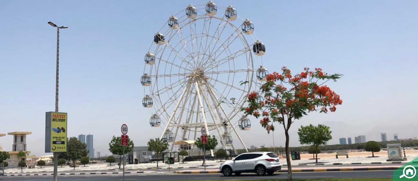 RAK City Area Guide | Bayut