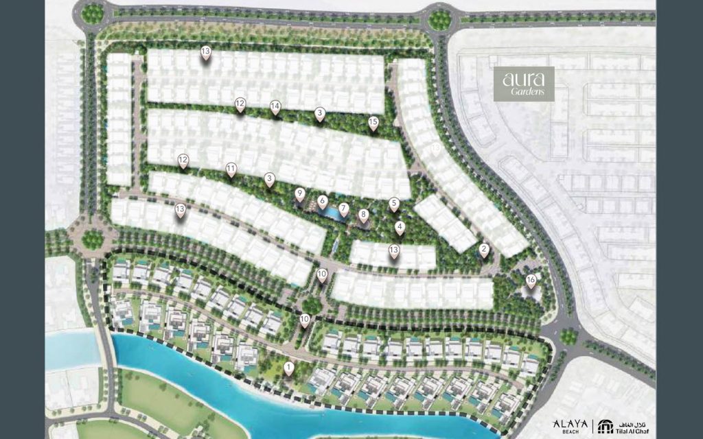 Alaya Beach Area Guide | Bayut